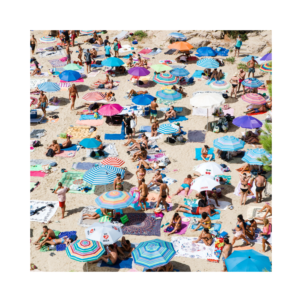 Carla Coulson Fine Art Photography Prints | On The Wall Framing ...