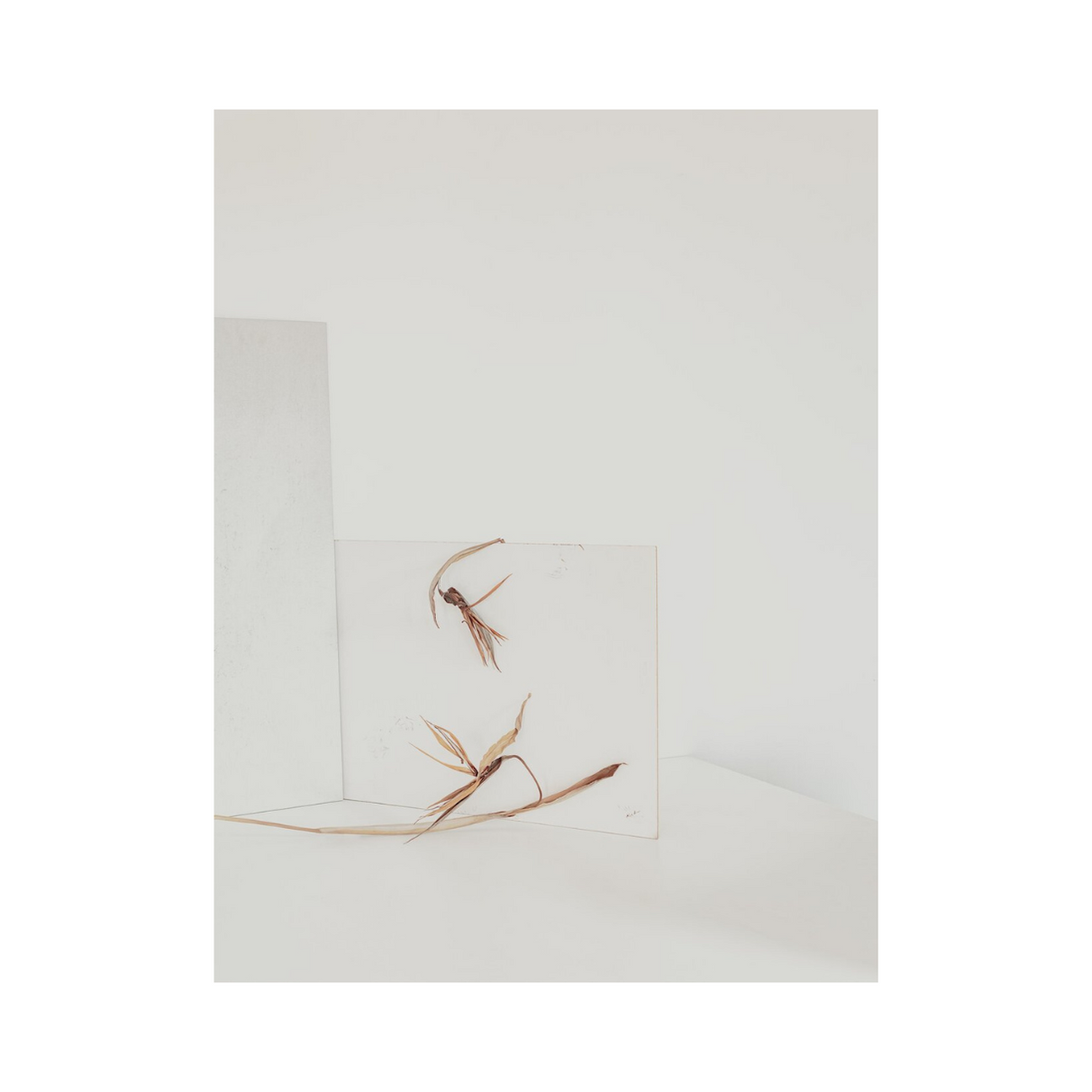 On The Wall Framing-Original art and limited edition prints – On The ...