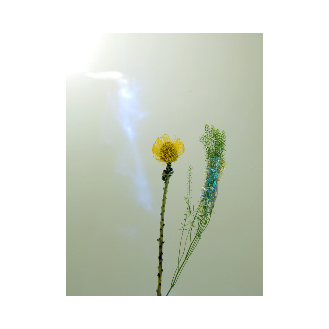 Glowy Flowers: Artful Photographic Prints – On The Wall Framing